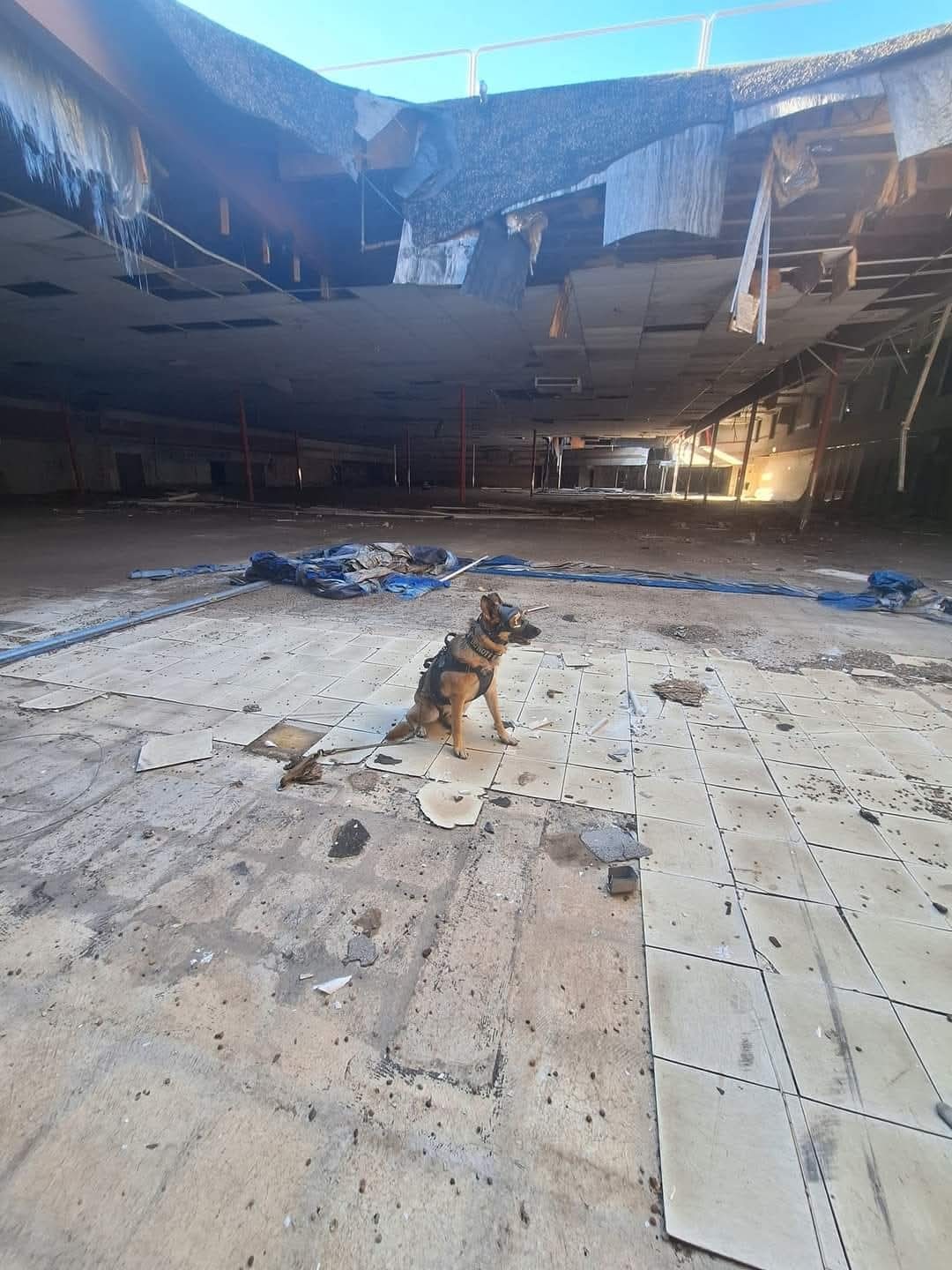 About - New Mexico Security Services LLC